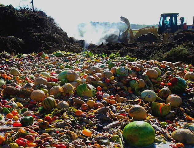 From waste food to tasty meals: the Real Junk Food Project to launch in ...