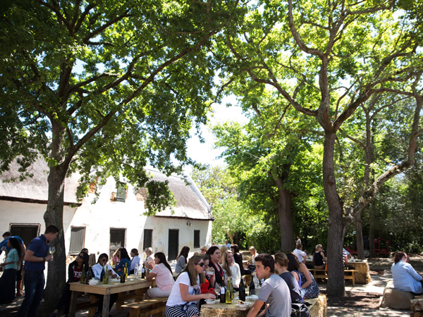 New farmer’s market to open at Spier Wine Farm - Eat Out