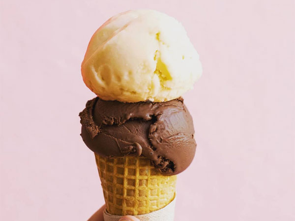 Could you bring yourself to eat gogga gelato? Fly ice cream comes to SA ...