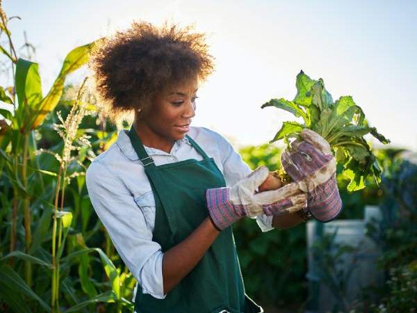 Over the last year alone, Woolworths donated over R6 million to ...
