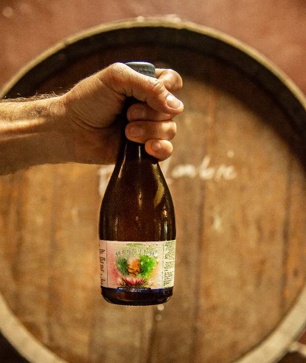 The Best Beer in Africa has been announced: and it’s made here in SA